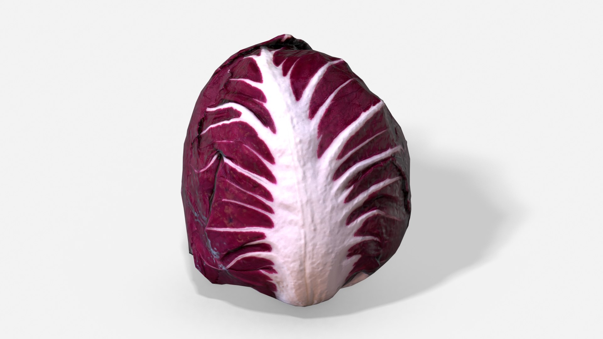 3D Vegetable Red Chicory - - TurboSquid 1511613