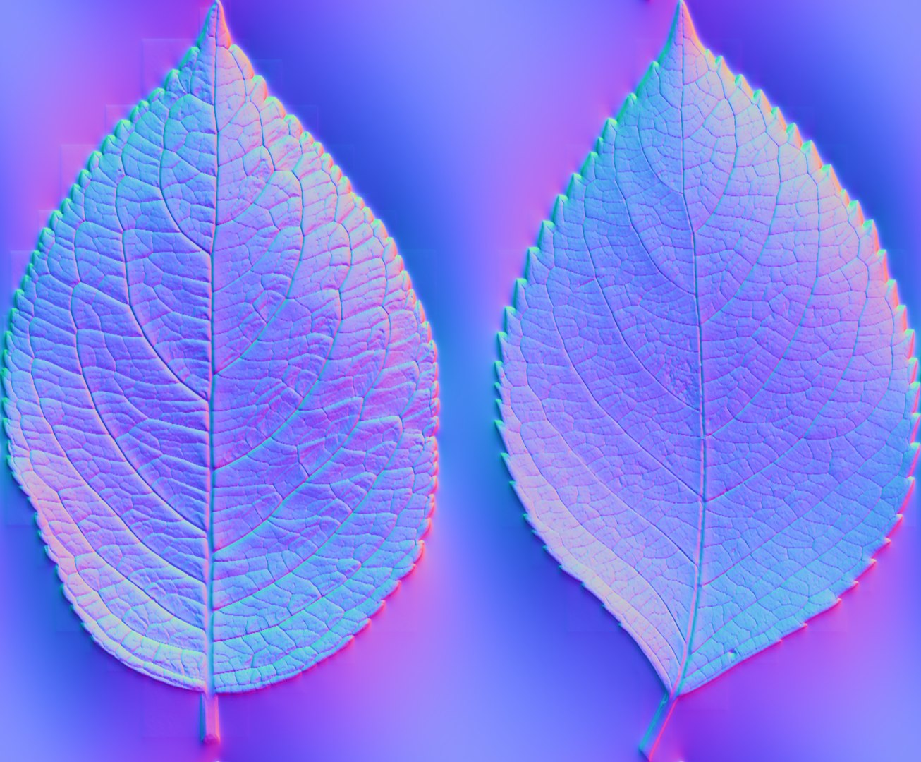 Realistic Leaf 3d Model