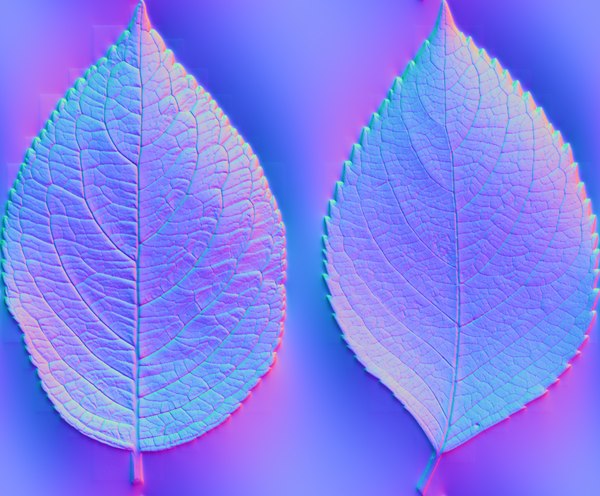realistic leaf 3d model
