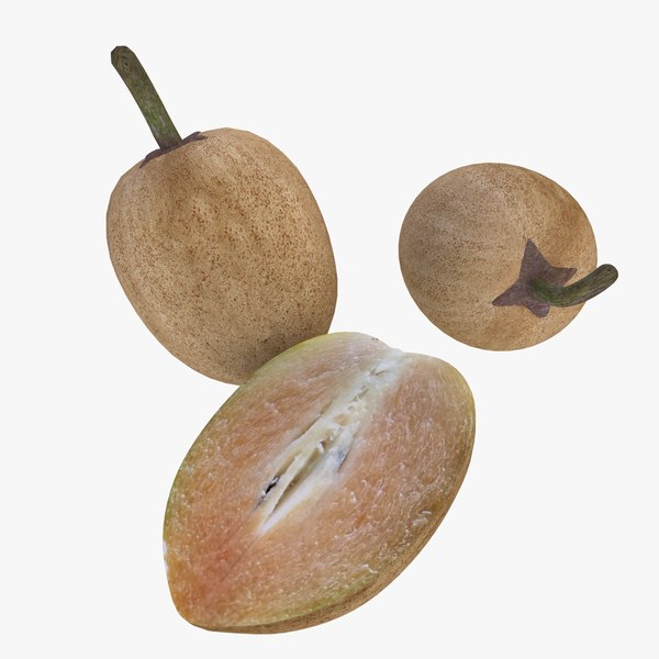 Sapodilla 3D Models for Download | TurboSquid