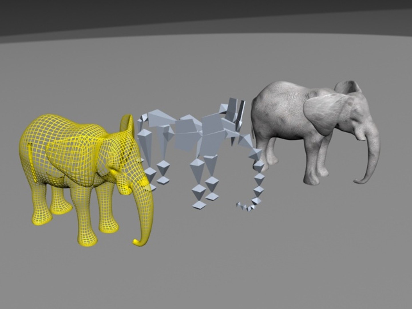 Elephant Animation 3d 3ds
