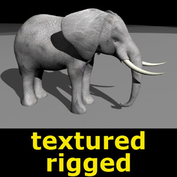 Elephant 3D Models for Download | TurboSquid
