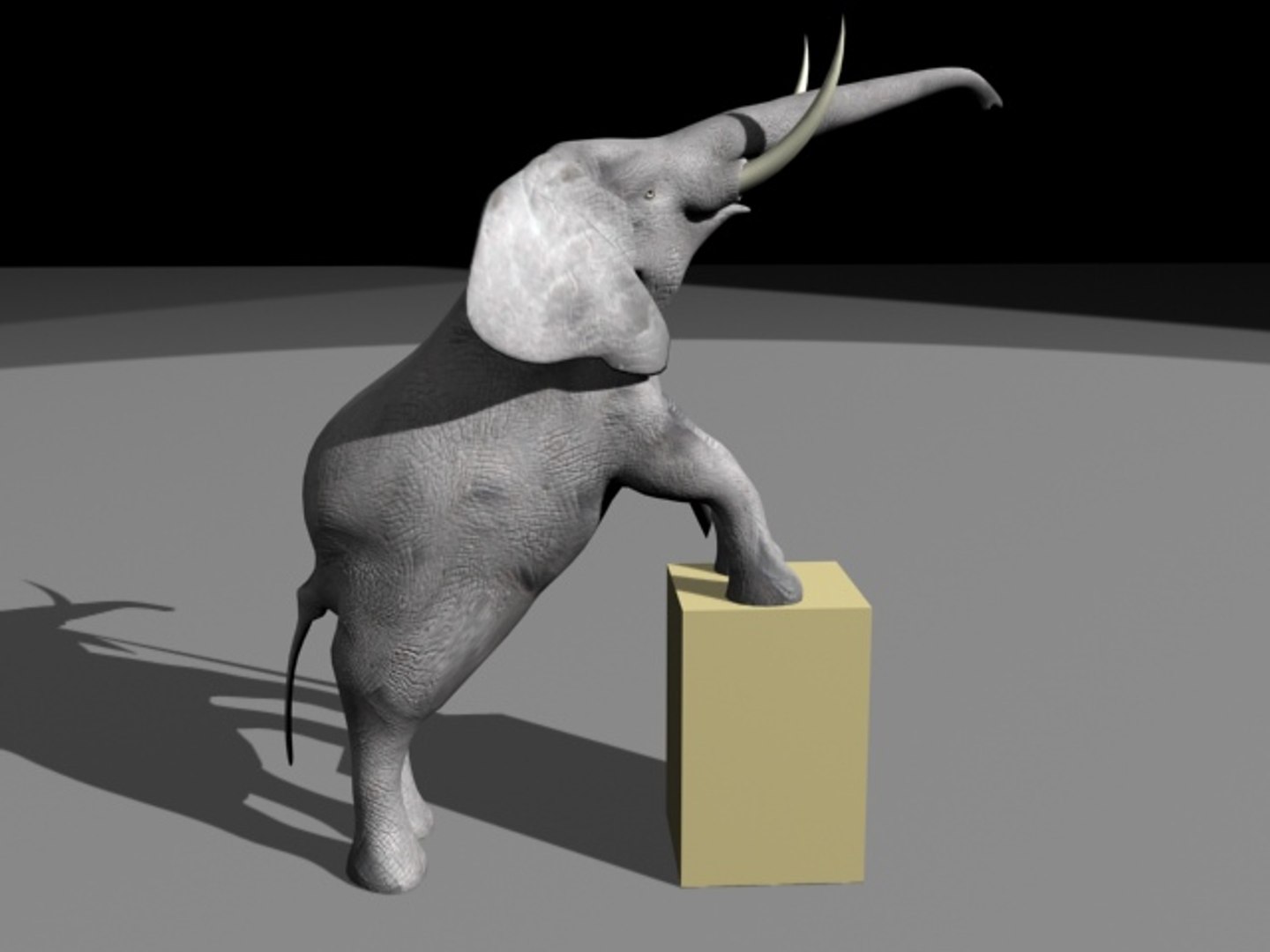Elephant Animation 3d 3ds