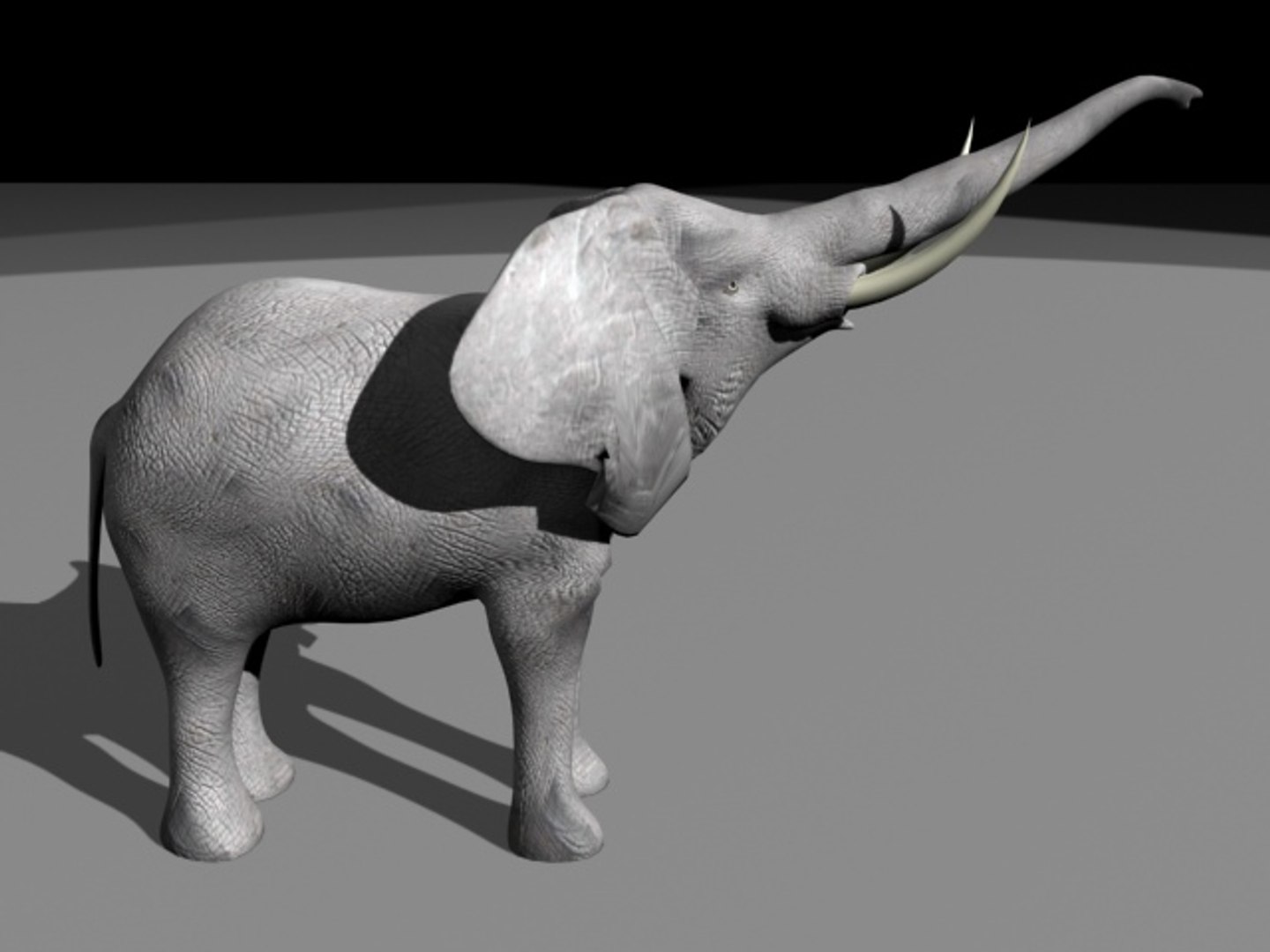 Elephant Animation 3d 3ds
