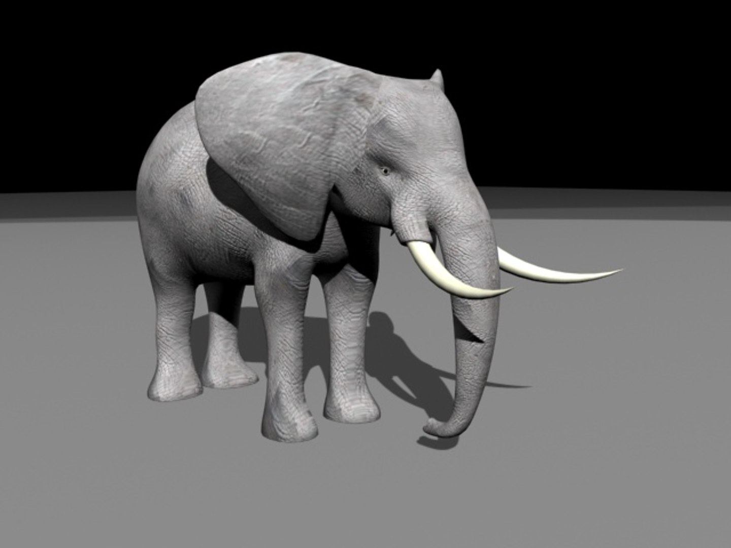 Elephant Animation 3d 3ds