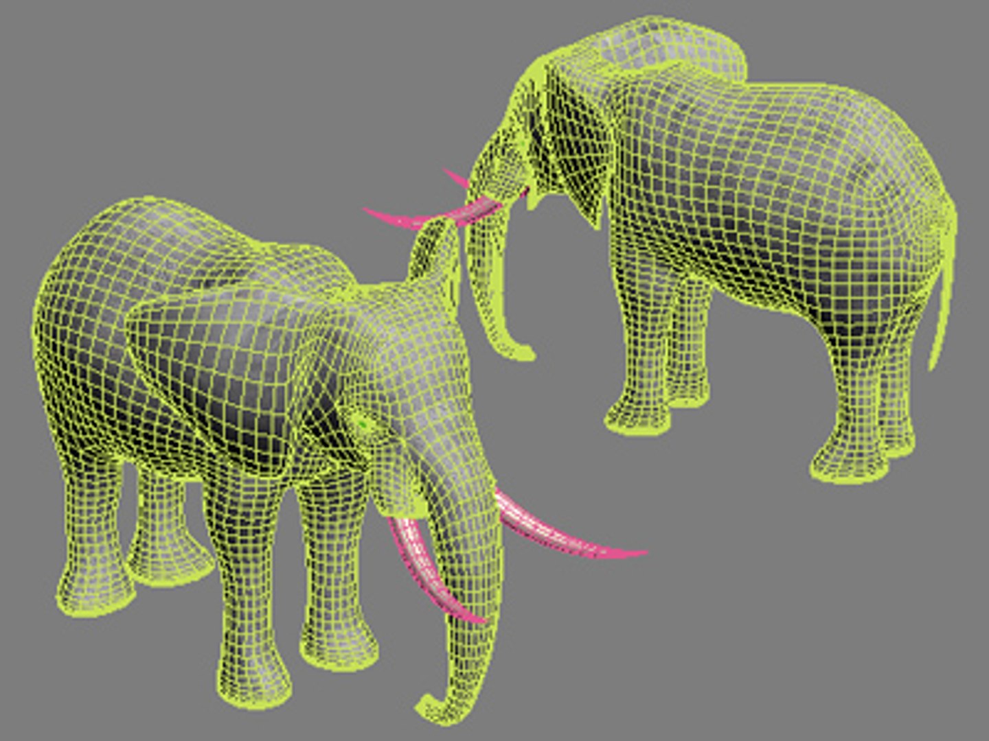 Elephant Animation 3d 3ds