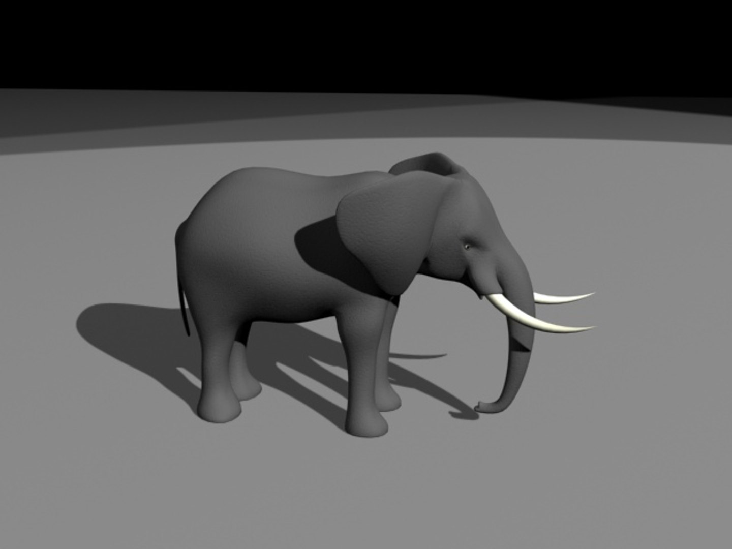 Elephant Animation 3d 3ds