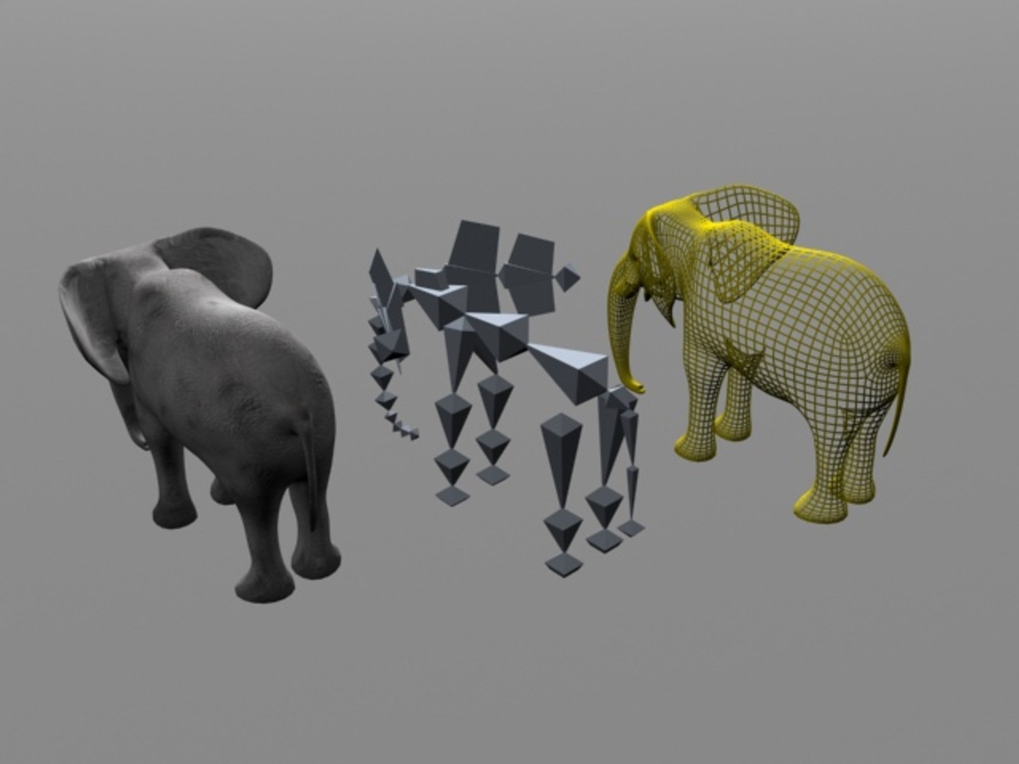 Elephant Animation 3d 3ds