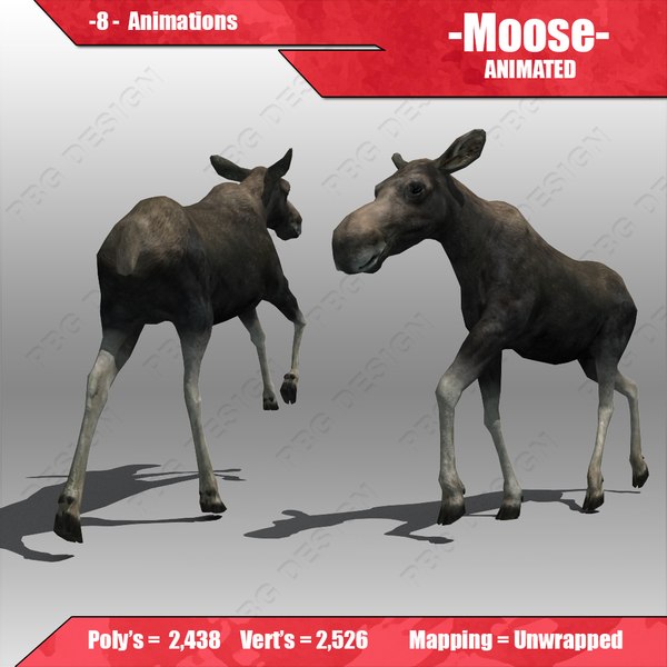 female moose animations 3d model