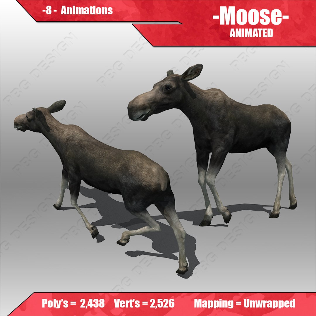 Female Moose Animations 3d Model