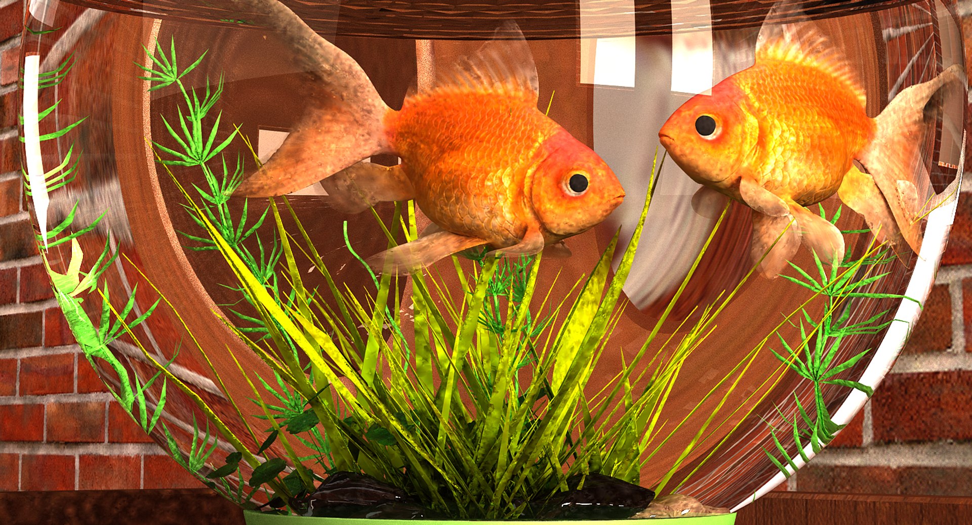 Gold Fish Aquarium 3D Model - TurboSquid 1214709
