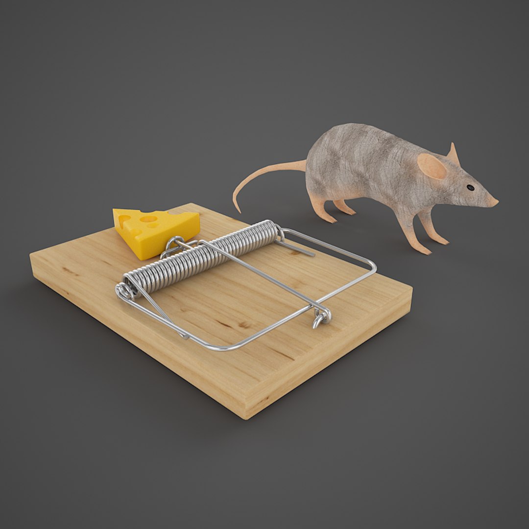 3d mouse trap