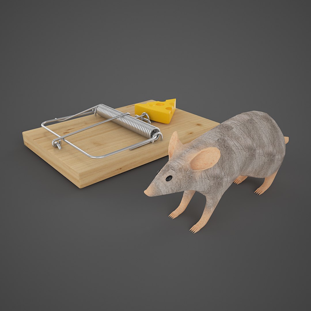 3d mouse trap