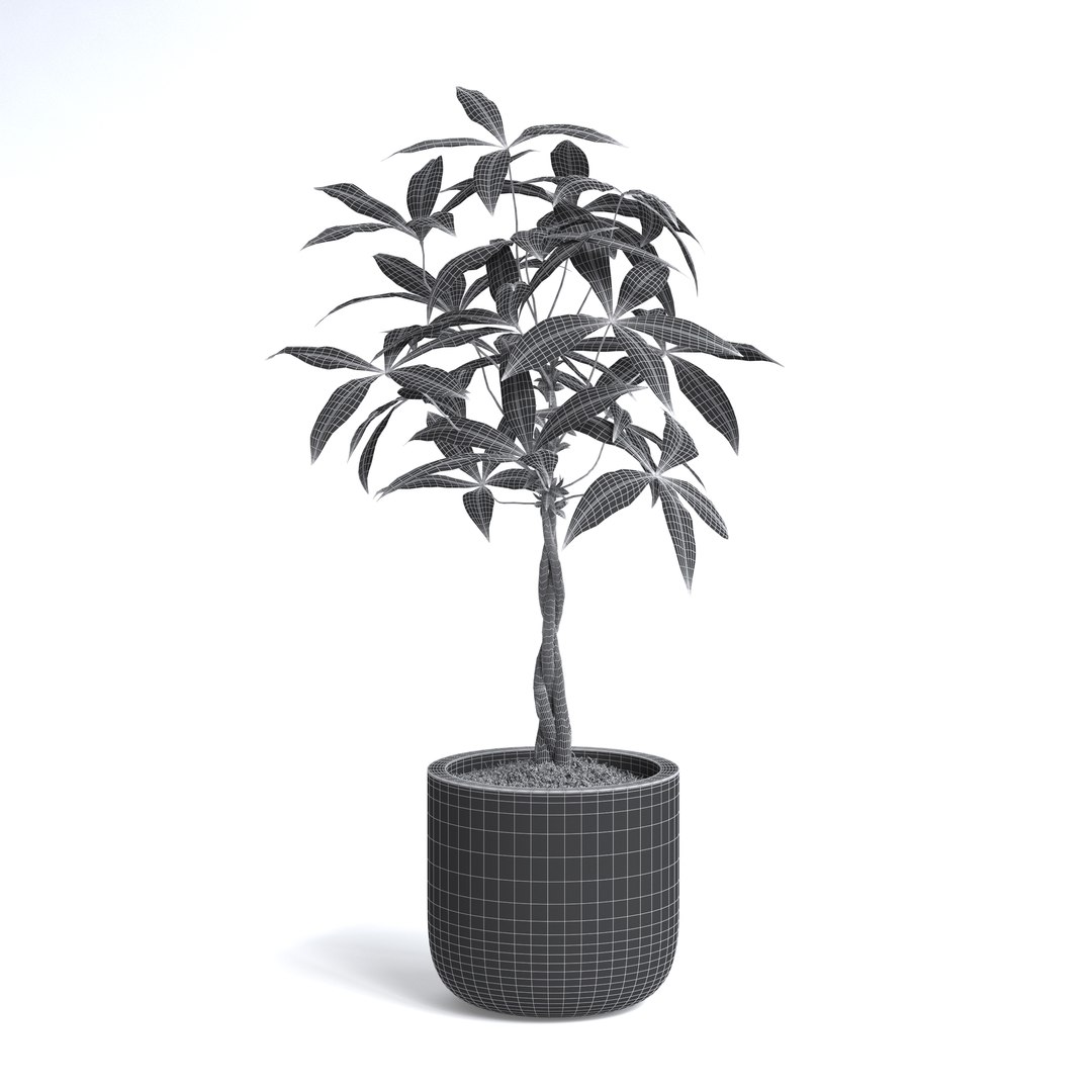 Money Tree Model - TurboSquid 1904472