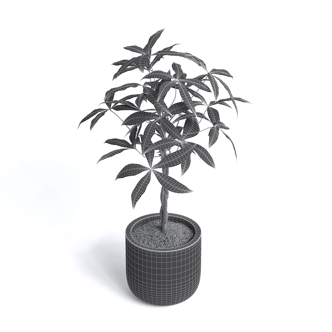 Money Tree Model - TurboSquid 1904472