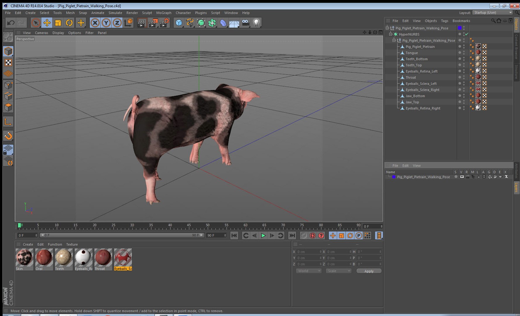 Pig Piglet Pietrain Walking 3D Model - TurboSquid 1355771