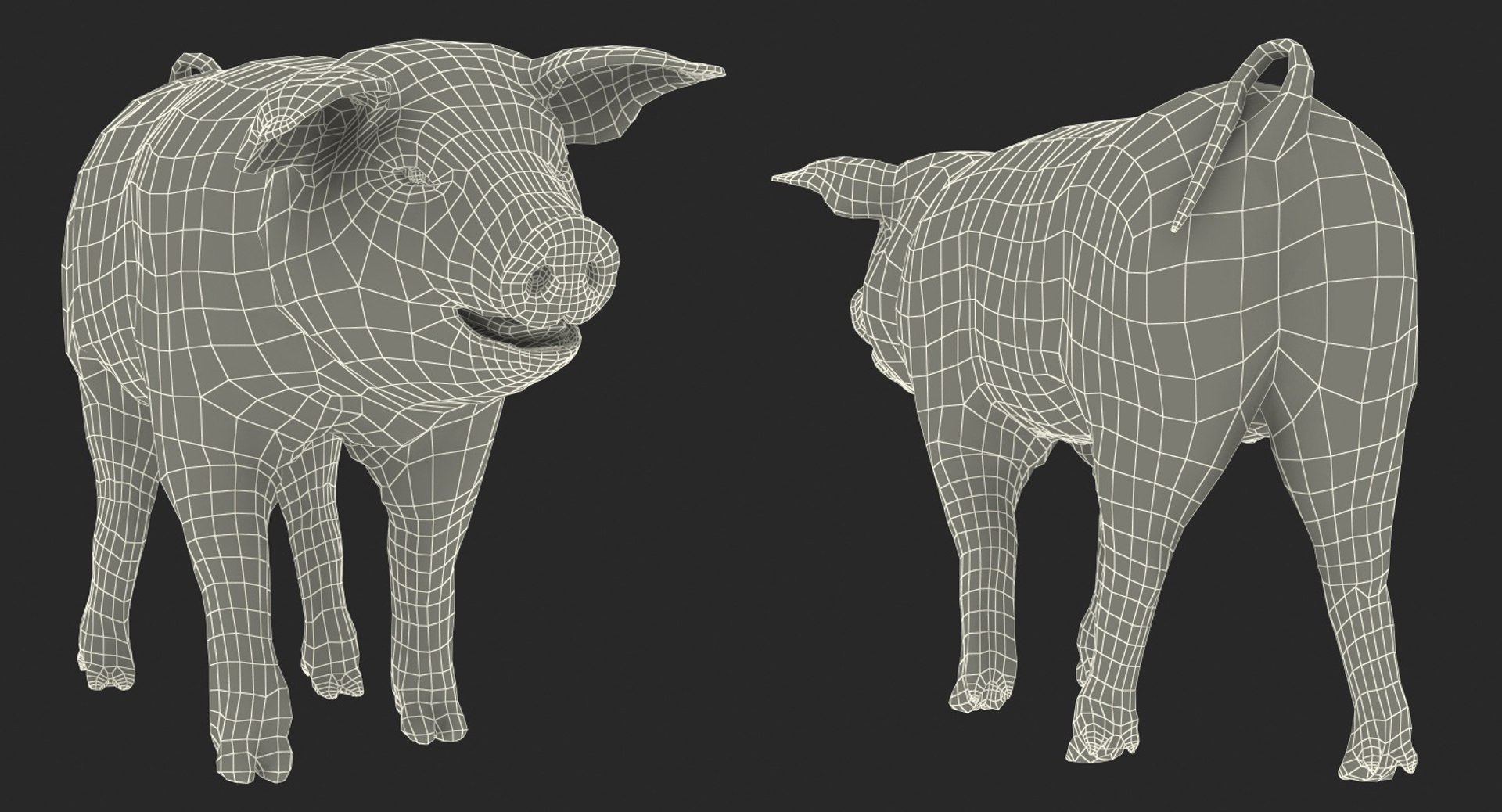 Pig Piglet Pietrain Walking 3D Model - TurboSquid 1355771