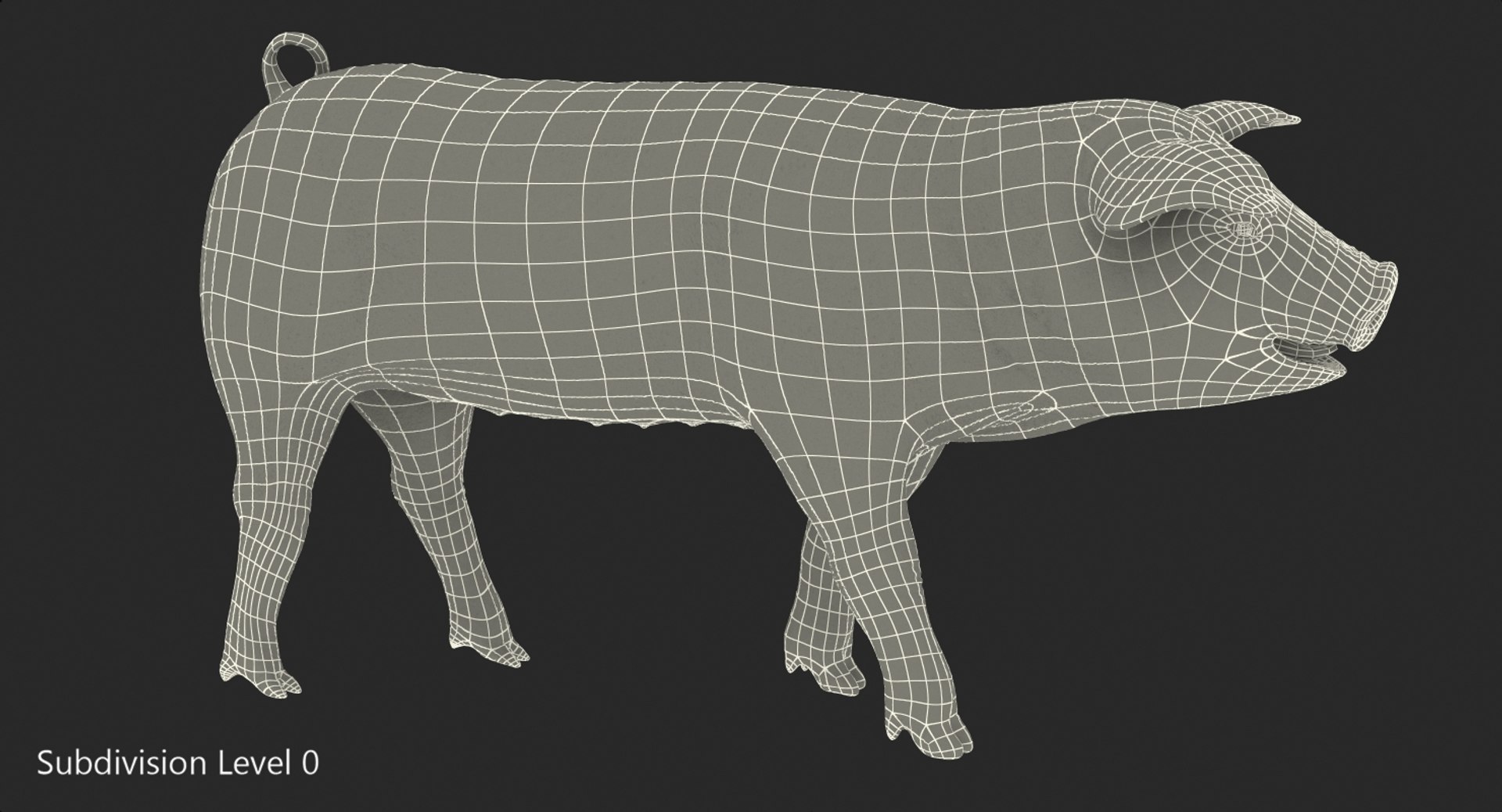 Pig Piglet Pietrain Walking 3D Model - TurboSquid 1355771