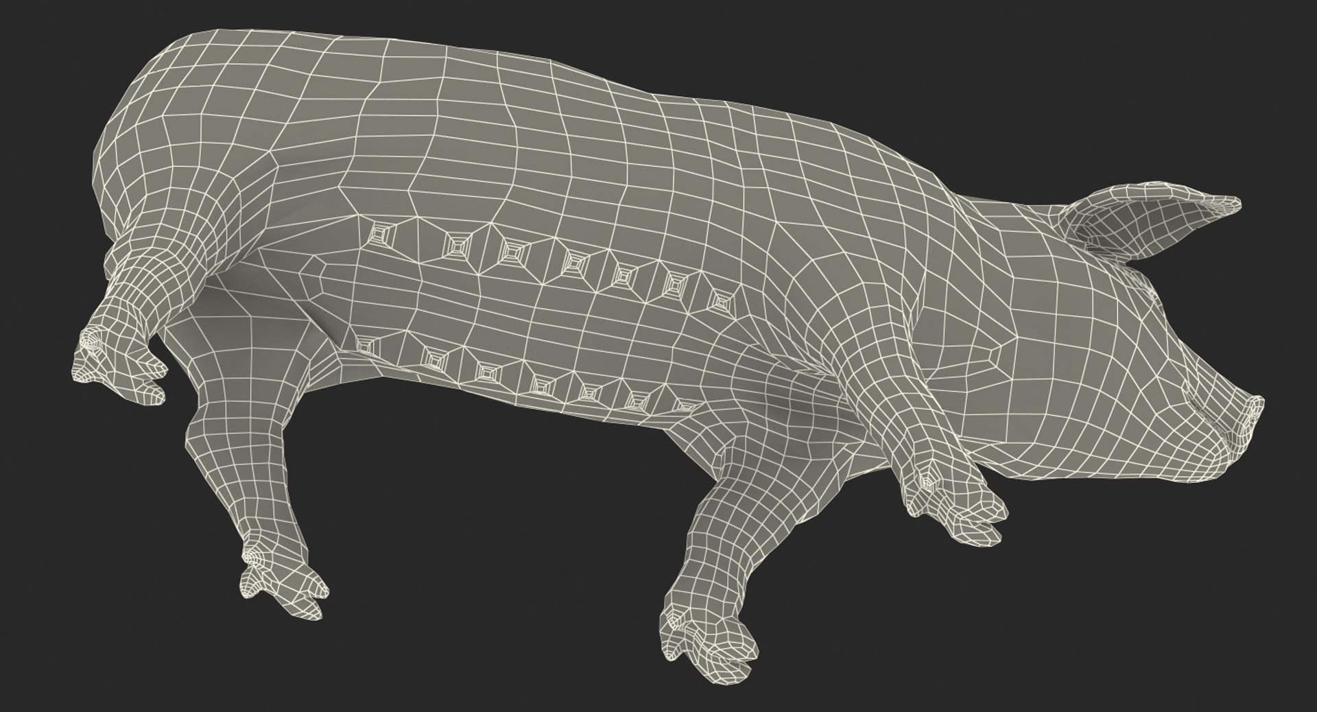 Pig Piglet Pietrain Walking 3D Model - TurboSquid 1355771