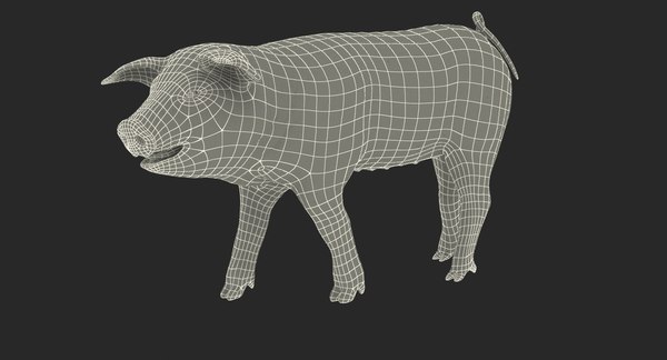 Pig piglet pietrain walking 3D model - TurboSquid 1355771