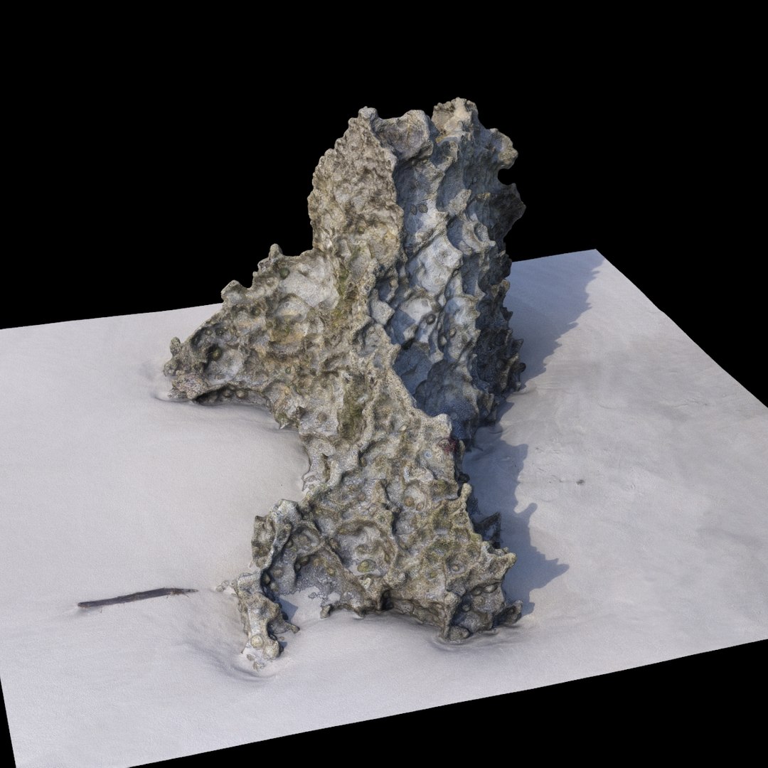 scan rock 3d model