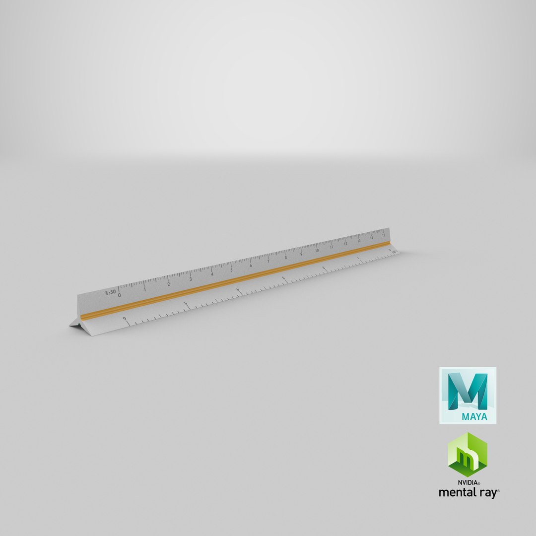 Scale Ruler 3D Model - TurboSquid 1805387