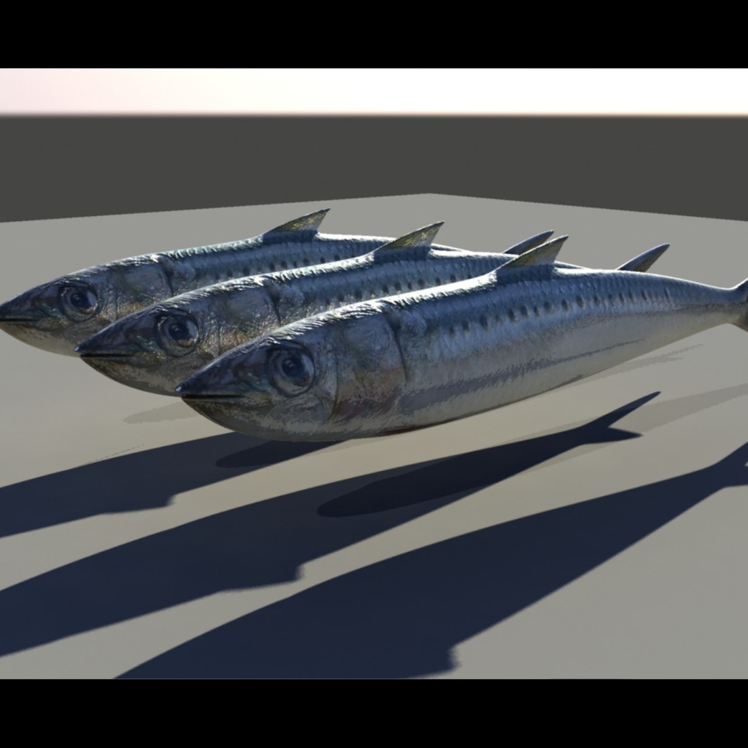 3d sardine fish model