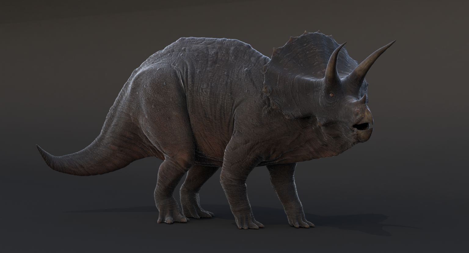 max realistic triceratops rigged
