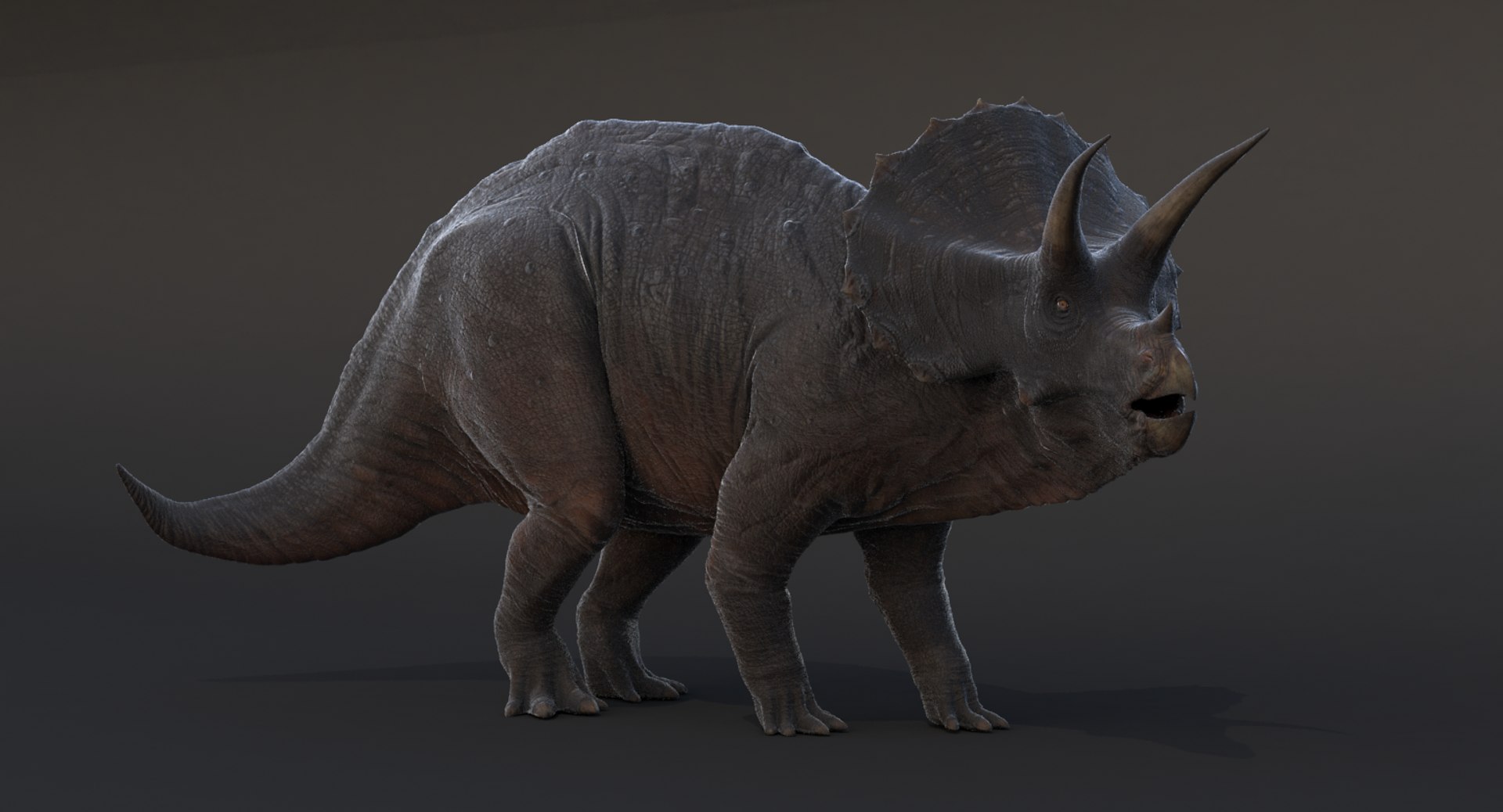 Max Realistic Triceratops Rigged