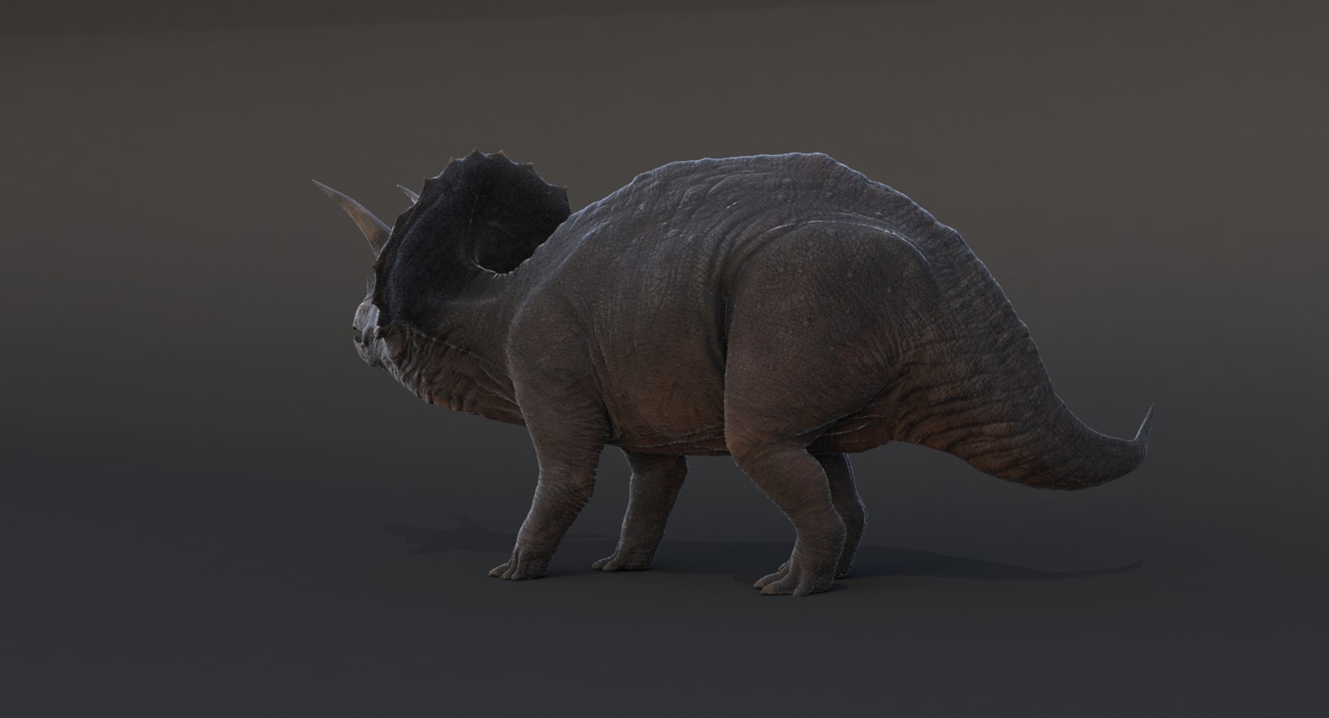 Max Realistic Triceratops Rigged