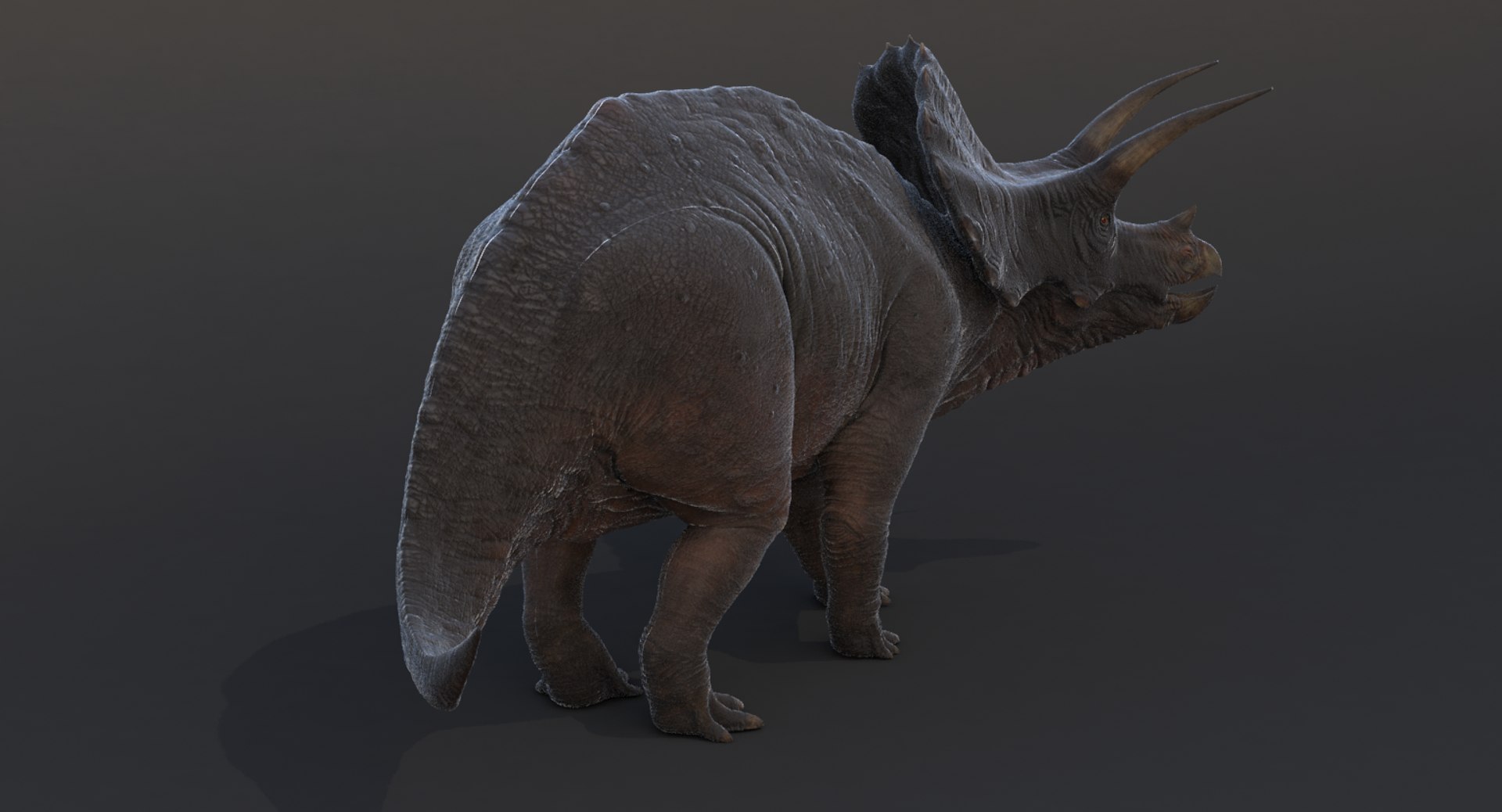 Max Realistic Triceratops Rigged