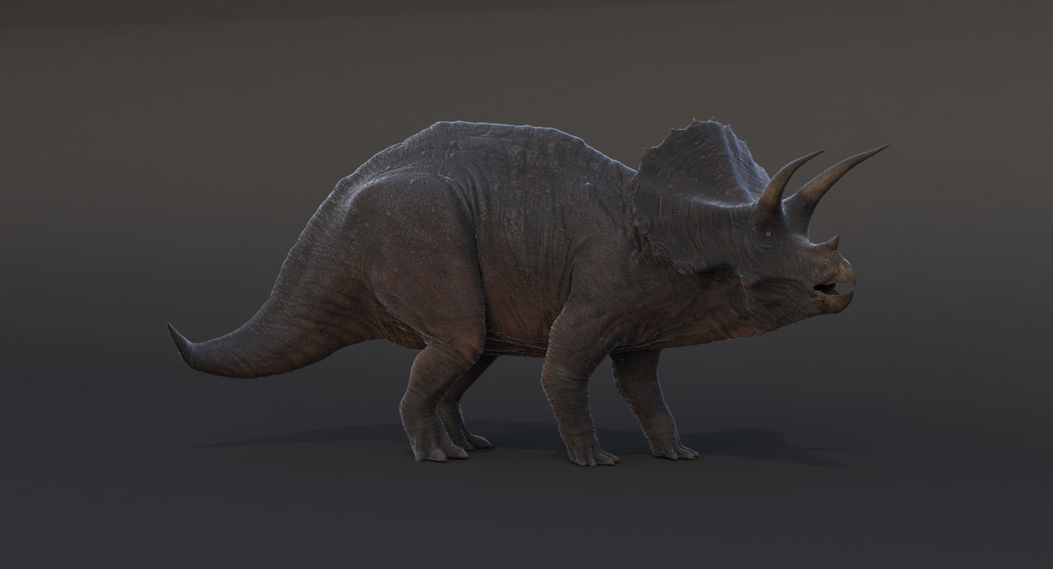 max realistic triceratops rigged