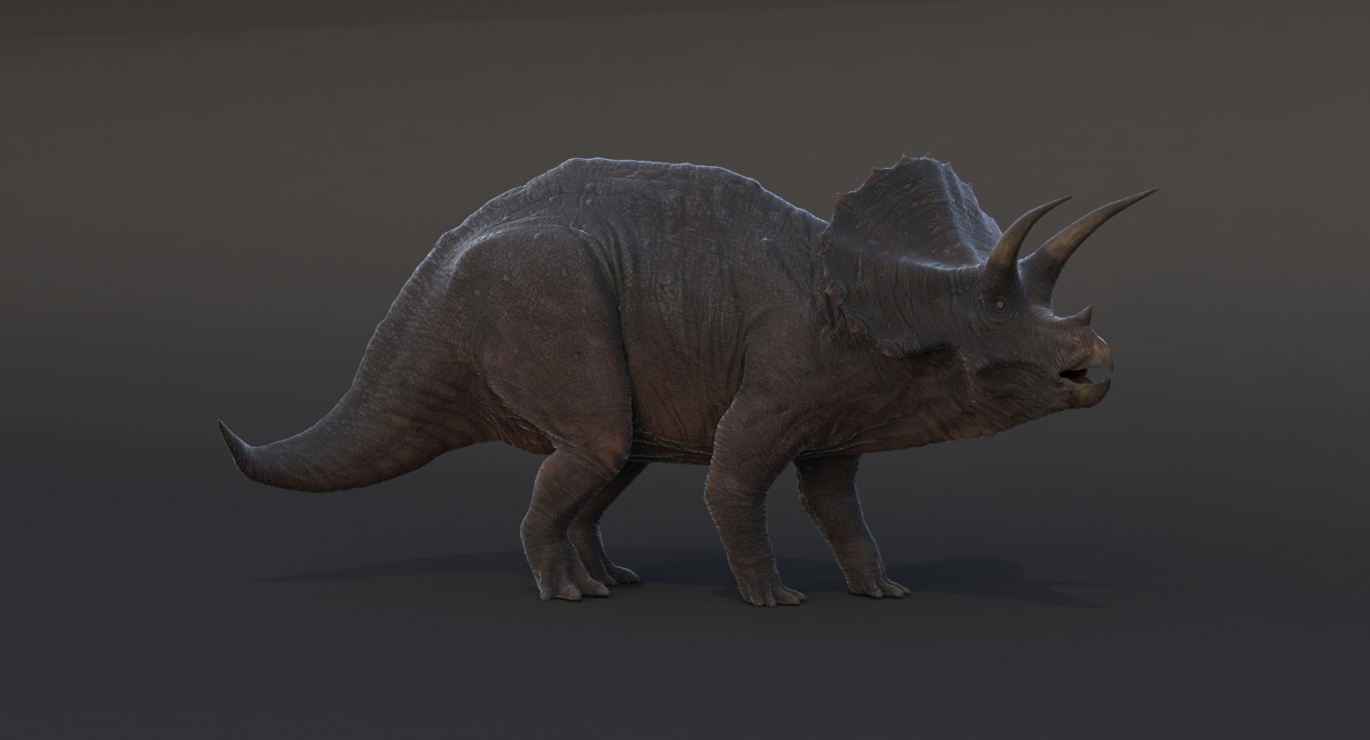 Max Realistic Triceratops Rigged