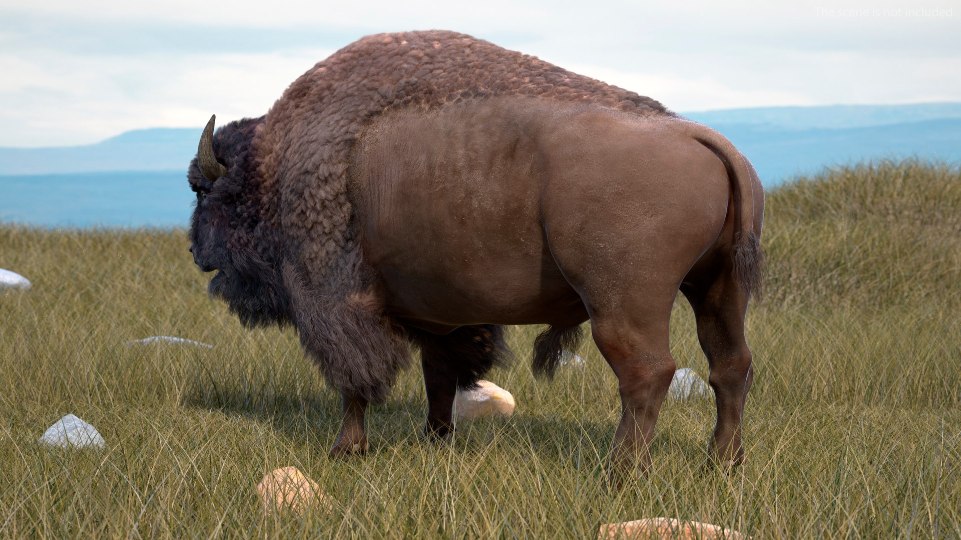 3D North American Bison With Fur - TurboSquid 2130588