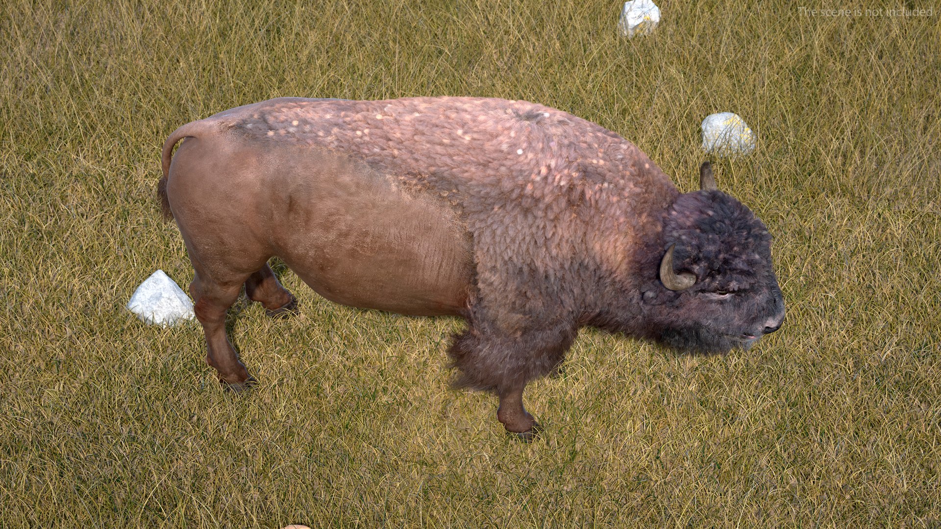 3D North American Bison With Fur - TurboSquid 2130588