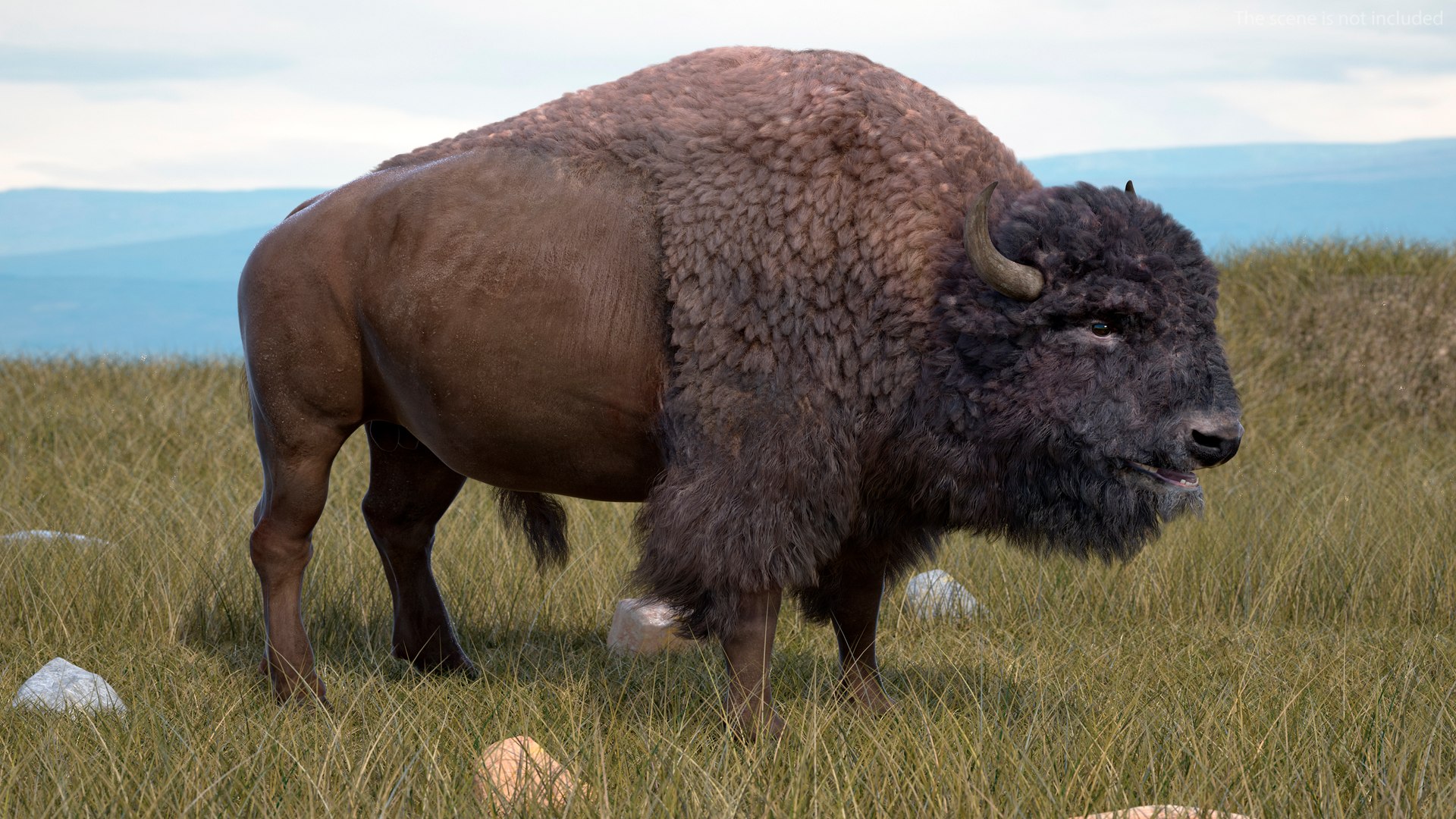 3D North American Bison With Fur - TurboSquid 2130588