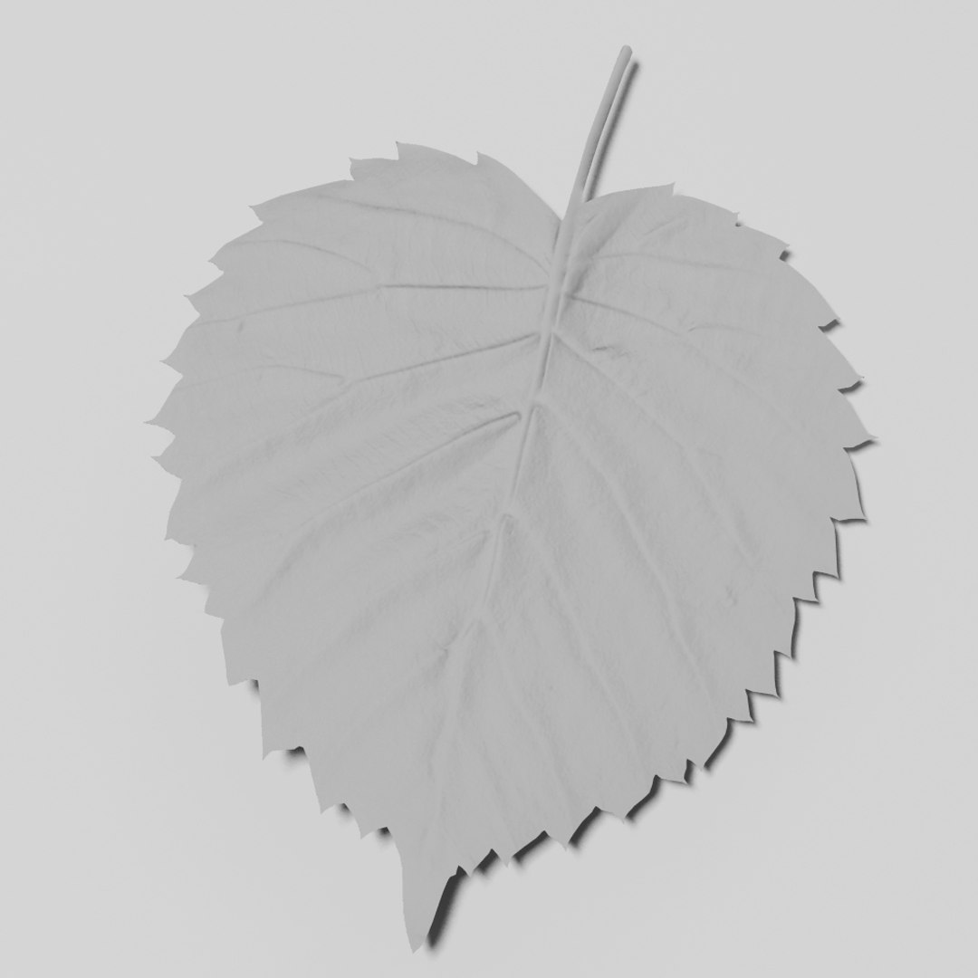 Tree Leaf Landscape 3d Max