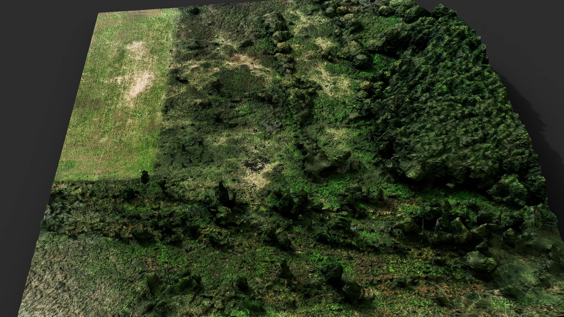 3D Landscape Bushes Fields Terrain Patch 2 PBR Photogrammetry ...