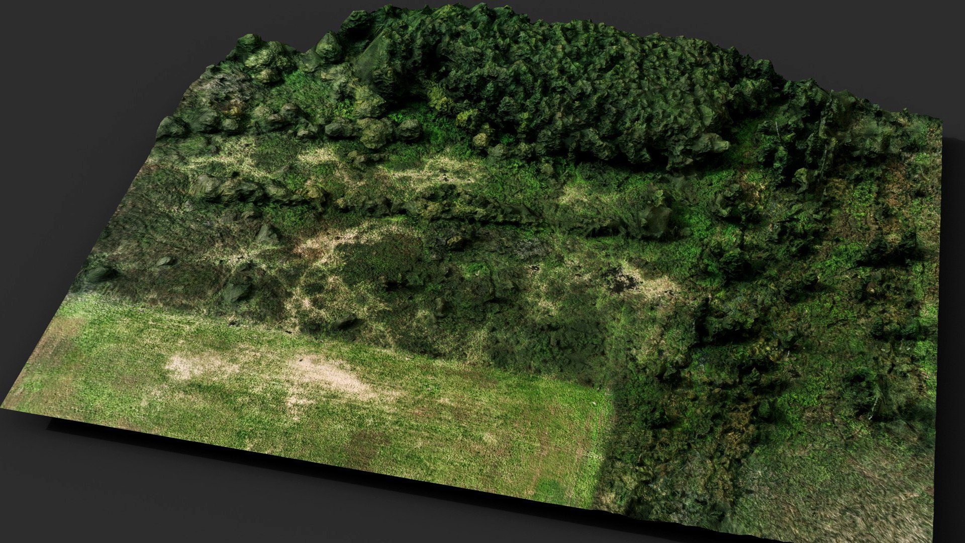 3D Landscape Bushes Fields Terrain Patch 2 PBR Photogrammetry ...
