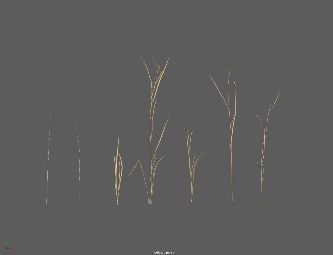 grass plants agricultural 3d model