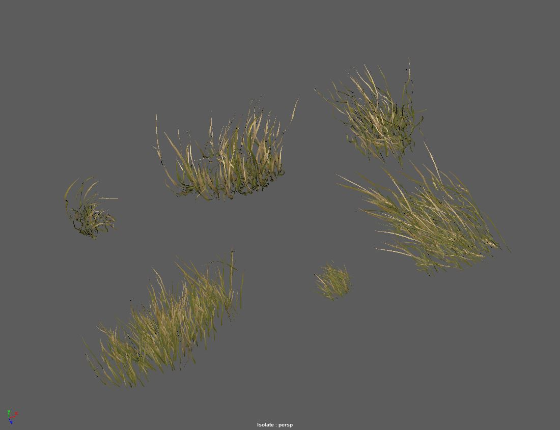 grass plants agricultural 3d model