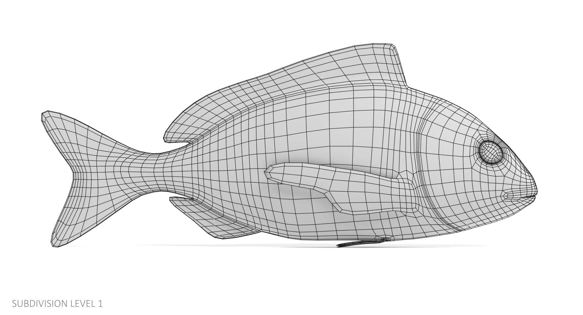 Gilthead bream model - TurboSquid 1224635