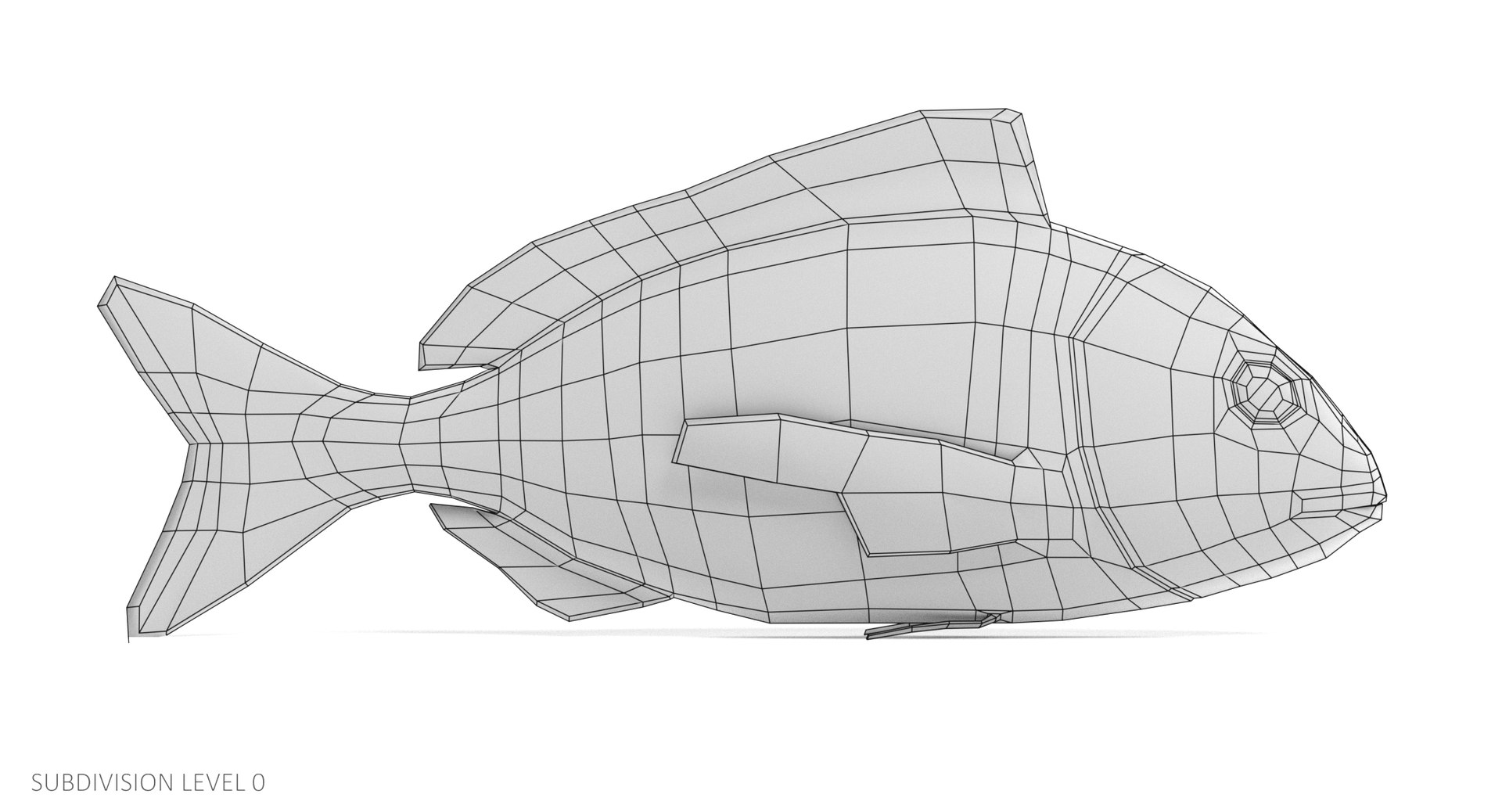 Gilthead bream model - TurboSquid 1224635