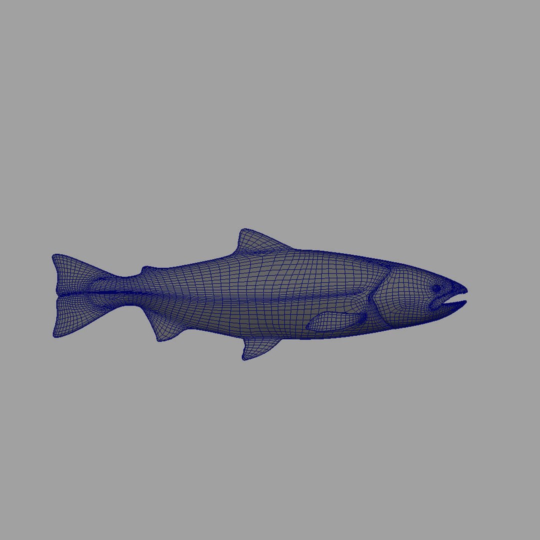 Salmon Fish 3D Model - TurboSquid 1438479