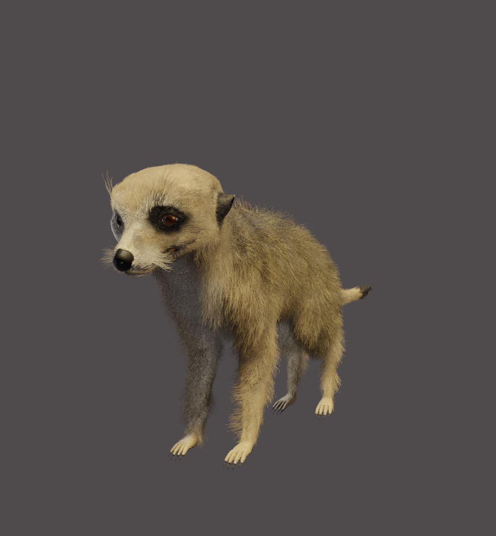 3D rigged cat particle - TurboSquid 1640426
