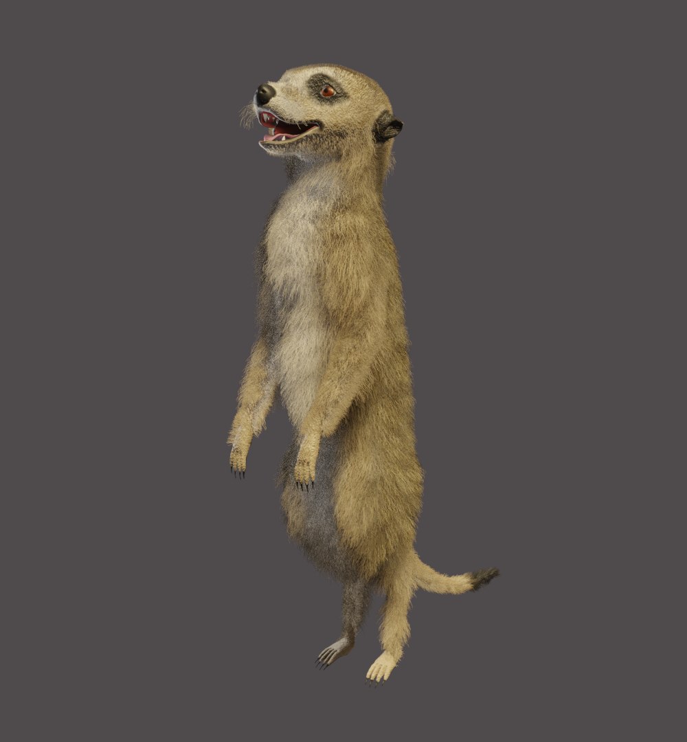 3D rigged cat particle - TurboSquid 1640426