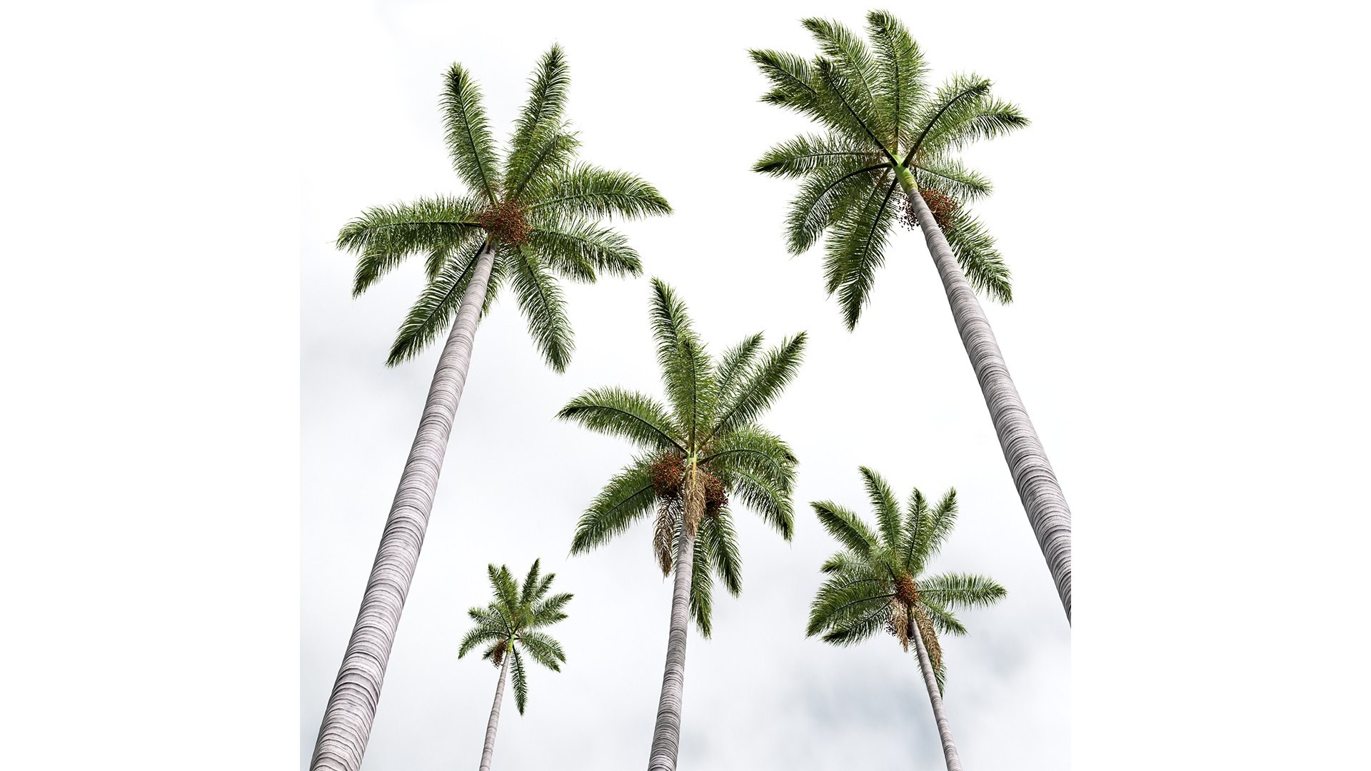 6Different SETS Of Tree Set Vol 33 3D Model - TurboSquid 2205116