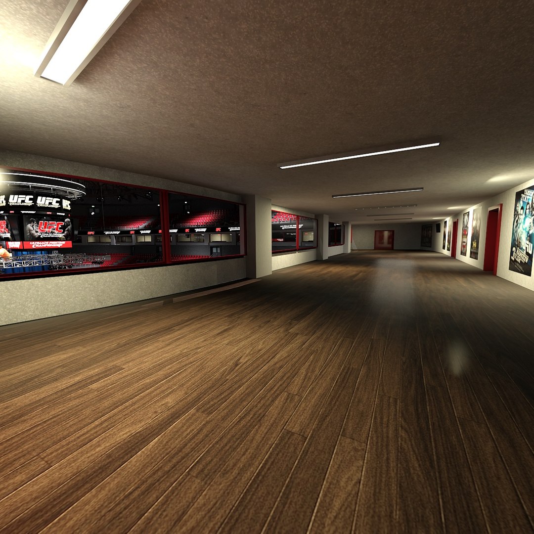 Ufc Fighting Arena Max