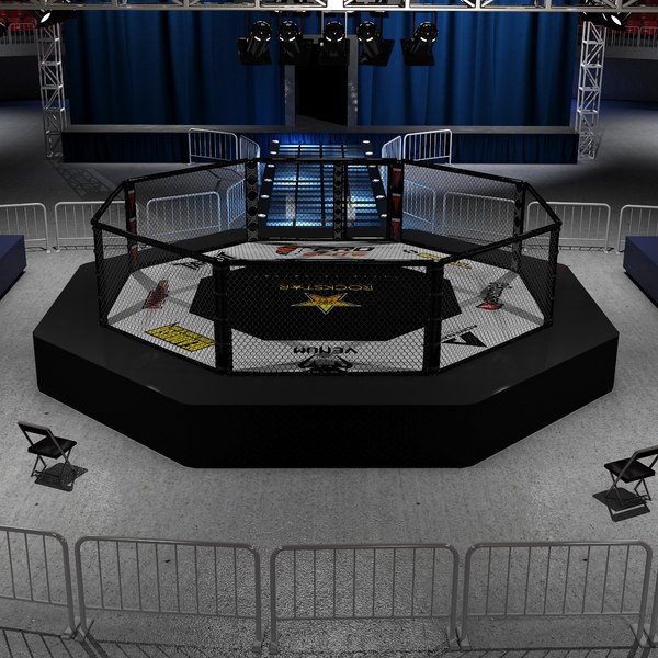 ufc fighting arena max