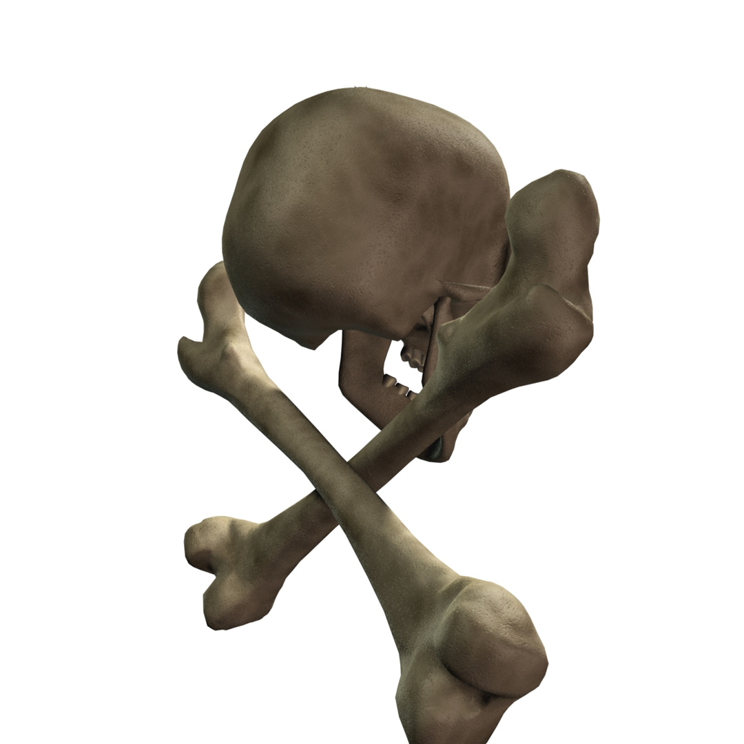 3d pirate skull crossbones model